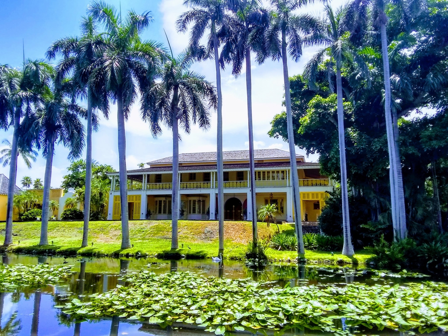 Bonnet House Museum & Gardens Classes and Workshops - Jason Taub ...